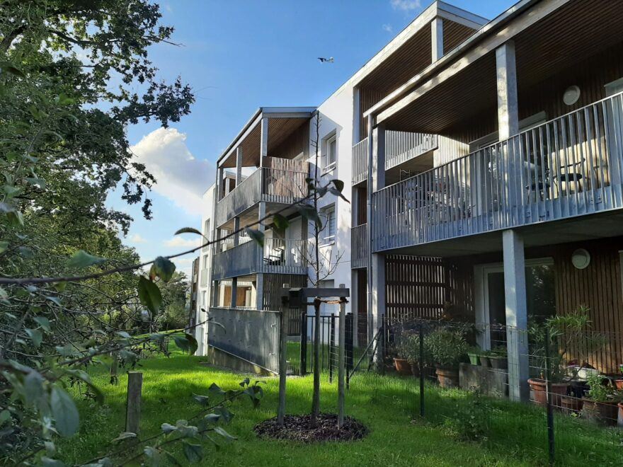 ADELIS : des expertises humaines pour un accompagnement de proximité (44)